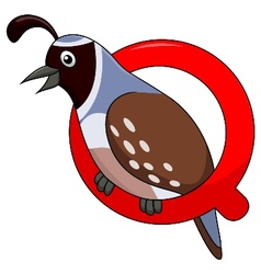 Alphabet Q with quail cartoon Royalty Free Vector Image