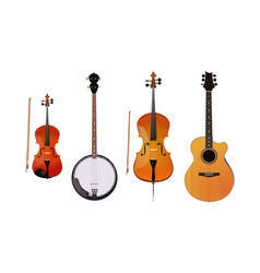 Bowed string instruments Royalty Free Vector Image