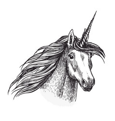 Unicorn mystic magic horse animal sketch Vector Image