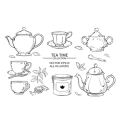 Jasmine tea Royalty Free Vector Image - VectorStock