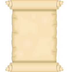 Realistic open parchment scroll on transparent Vector Image