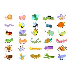 Frame bug Royalty Free Vector Image - VectorStock