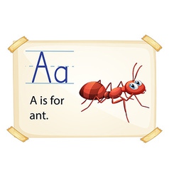 Flashcard alphabet r is for rake Royalty Free Vector Image