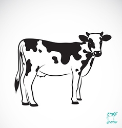 Black and white spotty cow Royalty Free Vector Image