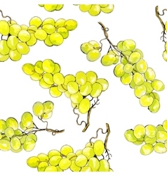Sketch grapes seamless pattern texture Royalty Free Vector