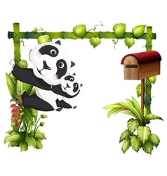 Mother and baby panda Royalty Free Vector Image
