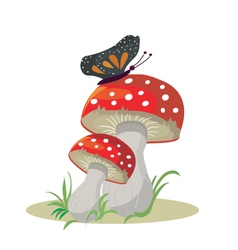 Toadstool Royalty Free Vector Image - VectorStock