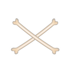 Structure radial bone with name Royalty Free Vector Image