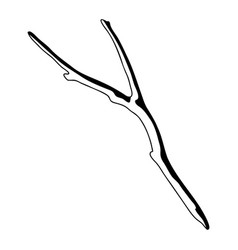 Dry branch Royalty Free Vector Image - VectorStock