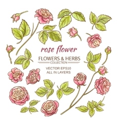 Rose branch frame Royalty Free Vector Image - VectorStock