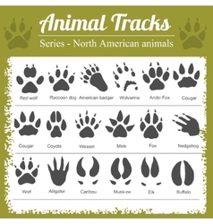 Animal Footprints - North American animals Vector Image