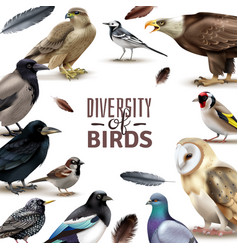 Realistic pigeon bird composition Royalty Free Vector Image