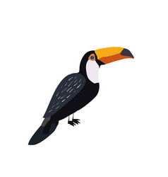 Summer bird Royalty Free Vector Image - VectorStock