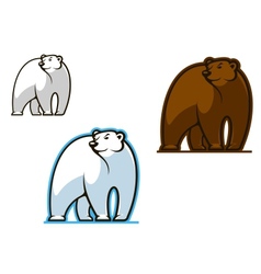 White polar bears set Royalty Free Vector Image