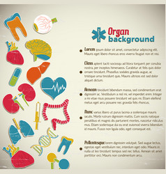 Human internal organs template Royalty Free Vector Image