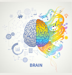 Left right brain concept Royalty Free Vector Image