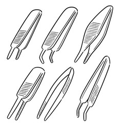 Set of forcep alcohol and sterile cotton Vector Image