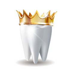 Tooth Royalty Free Vector Image - VectorStock