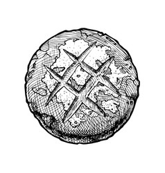 Round bread isolated on white Royalty Free Vector Image