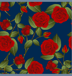 Beautiful red rose - rosa on indigo blue Vector Image
