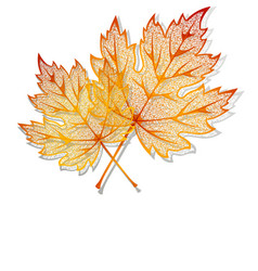 Autumn leaf fall Royalty Free Vector Image - VectorStock