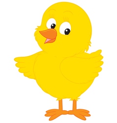 Chicken hen waving hand on white background Vector Image