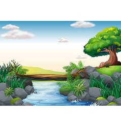 Stream Royalty Free Vector Image - VectorStock