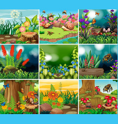 Set background scene with nature theme Royalty Free Vector
