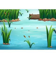 Pond Royalty Free Vector Image - VectorStock