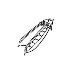 Sketch peas in a pod open and closed coloring Vector Image