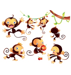 Four playful monkeys Royalty Free Vector Image