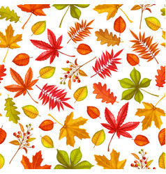 Seamless with autumn leaves Royalty Free Vector Image