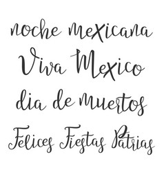 Mexico and new zealand hand written typography Vector Image