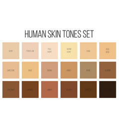 Skin human various body tones chart Royalty Free Vector