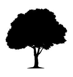 Bare tree silhouette without leaves Royalty Free Vector