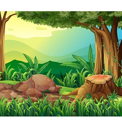 Cartoon of a big tree at the forest Royalty Free Vector