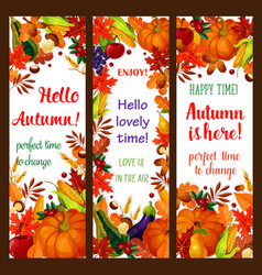 Autumn leaf banner border for fall season design Vector Image