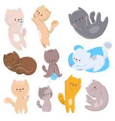 Cute cat cartoon Royalty Free Vector Image - VectorStock