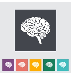 Cartoon human brain anatomy in a cut Royalty Free Vector