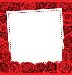 Valentines day red roses heart filled isolated Vector Image