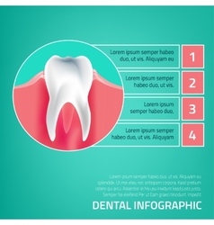 Oral health day Royalty Free Vector Image - VectorStock