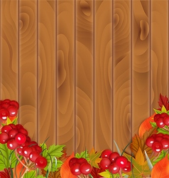 Wooden frame with autumn leaves rowan and maple Vector Image