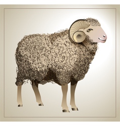 Sheep Royalty Free Vector Image - VectorStock