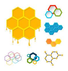 Linear hexagon design elements different Vector Image