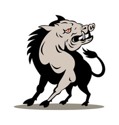 Wild Pig Boar Royalty Free Vector Image - VectorStock