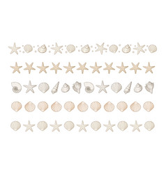 Seashell scallop border divider sea and ocean Vector Image