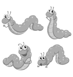 Skunk Royalty Free Vector Image - VectorStock