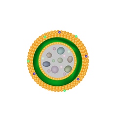 Structure of lysosomes Infographics on isolated Vector Image