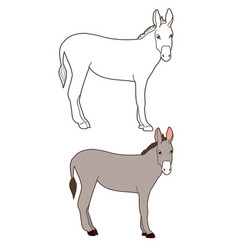 Isolated contour donkeys sketch it is worth Vector Image
