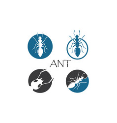 Ant logo template Royalty Free Vector Image - VectorStock